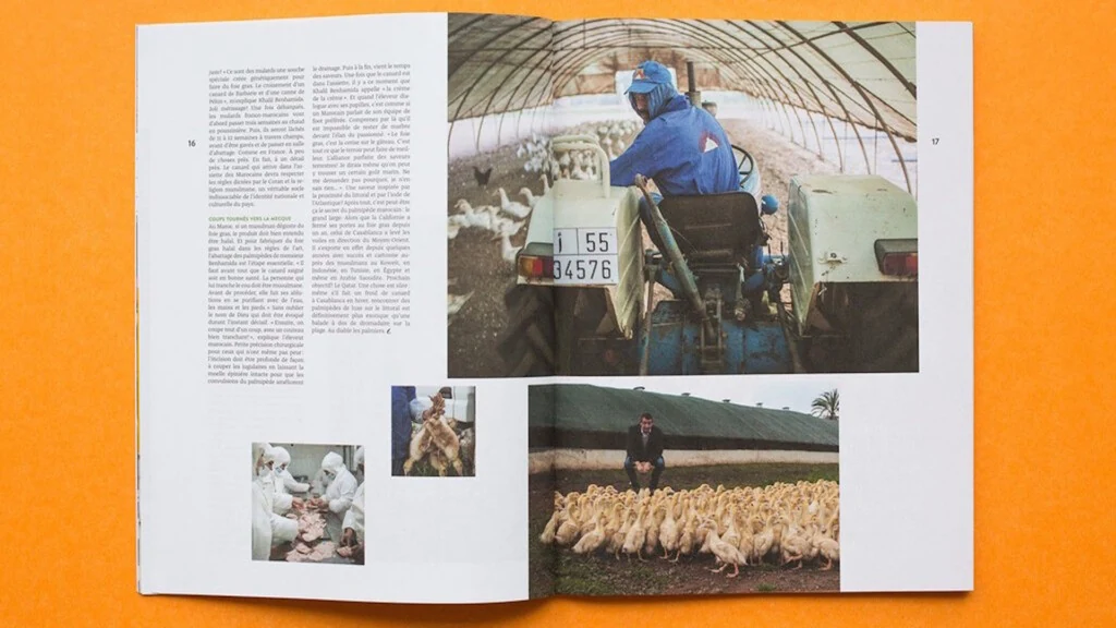 6 editorial "Made in Quebec" magazines that will leave you wanting more ...