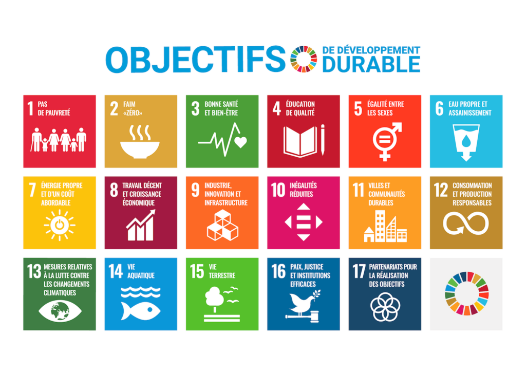 What are the Sustainable Development Goals, also called SDGs? | Republik