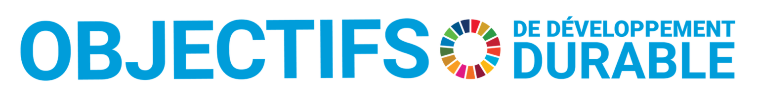 What are the Sustainable Development Goals, also called SDGs? | Republik